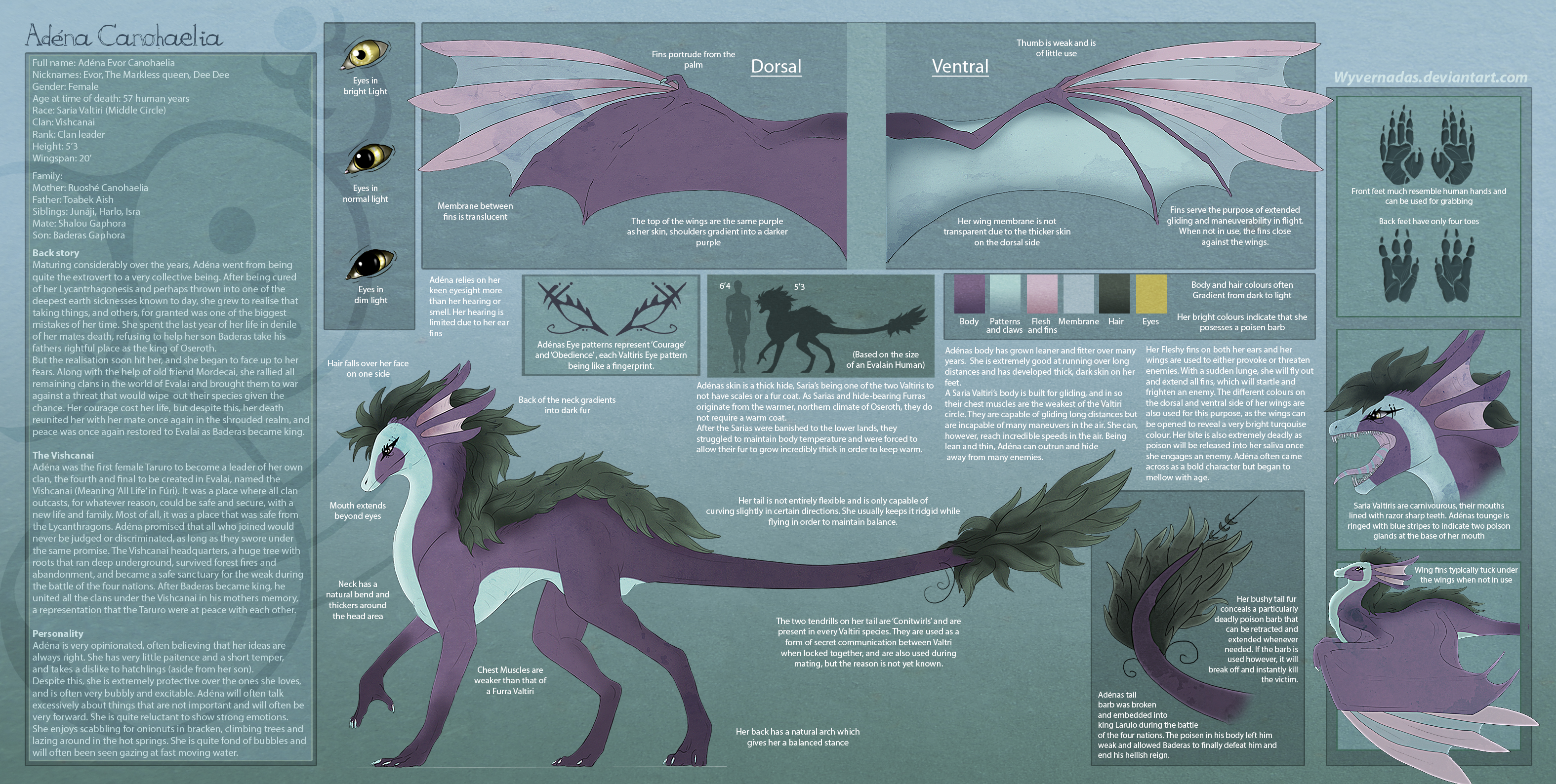 Download Fantasy Creature HD Wallpaper