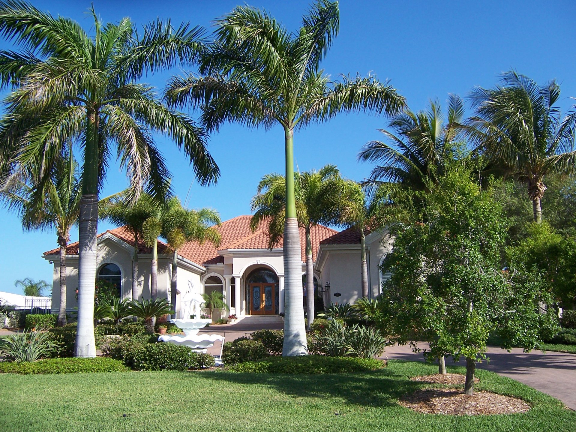 Tropical Elegance: Stunning HD Wallpaper of a Man-Made Dream House ...