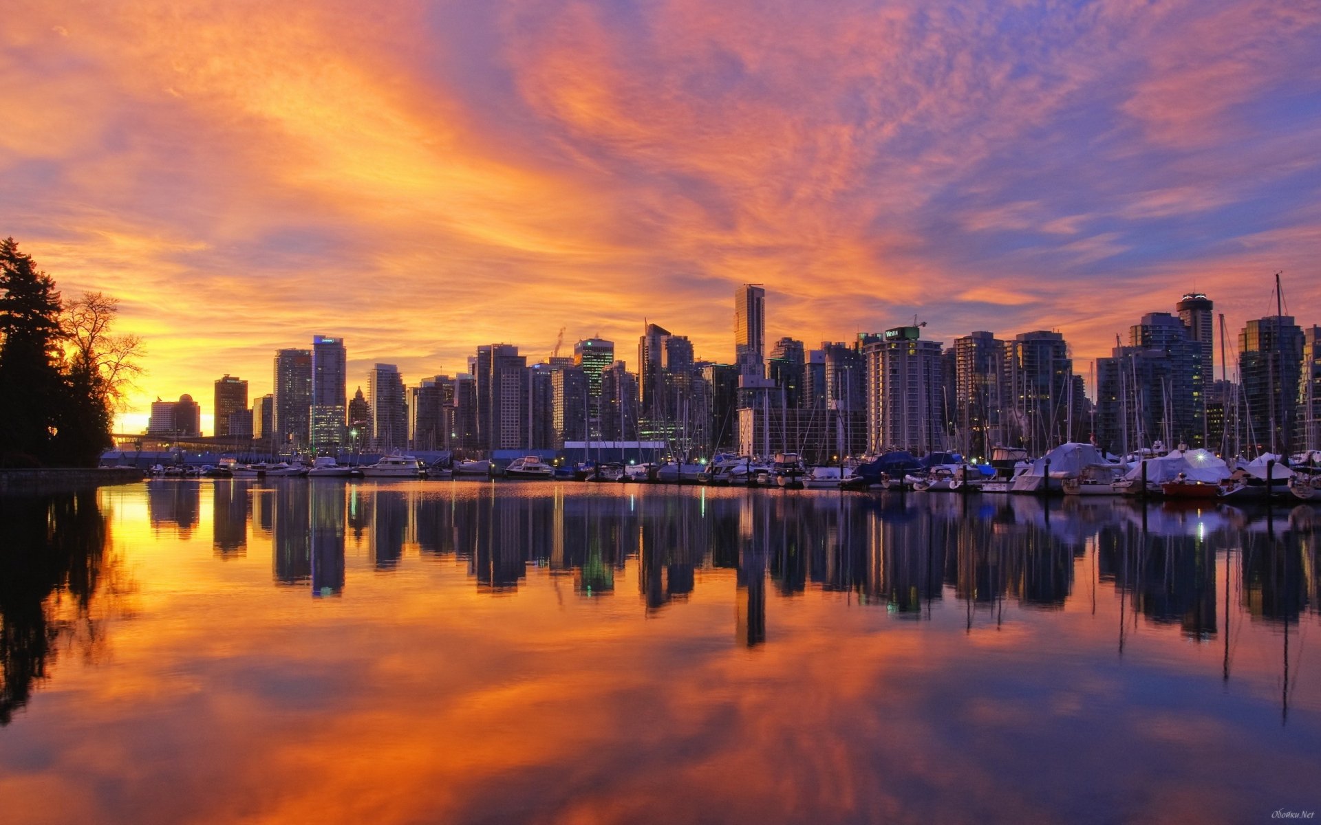 Download Photography Reflection HD Wallpaper | 2560x1600 | Wallpaper Abyss