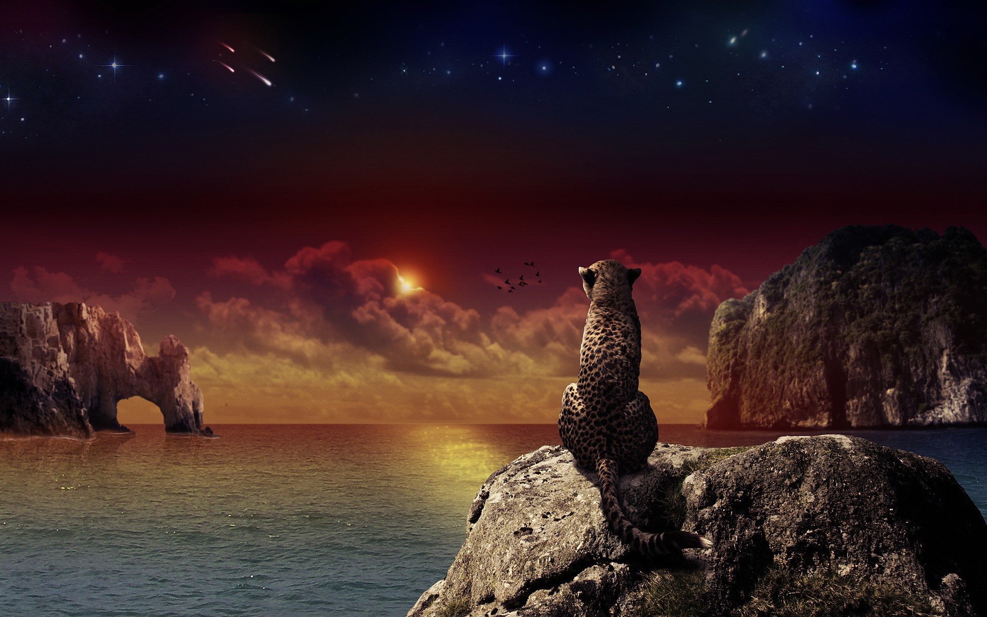 Enchanted Night: Mystical Fantasy Animal in HD Wallpaper
