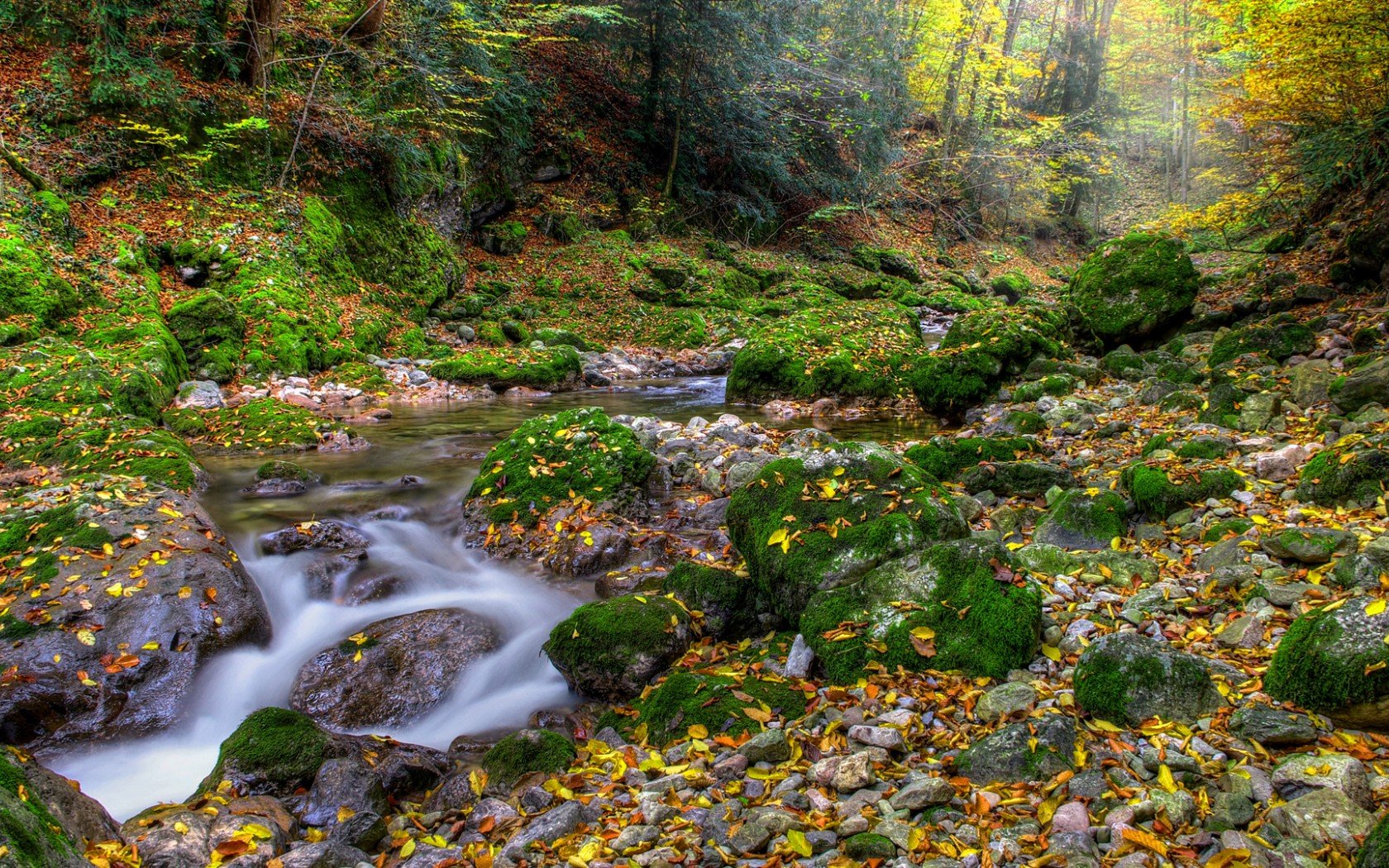 Serene Stream: Nature’s HD Haven