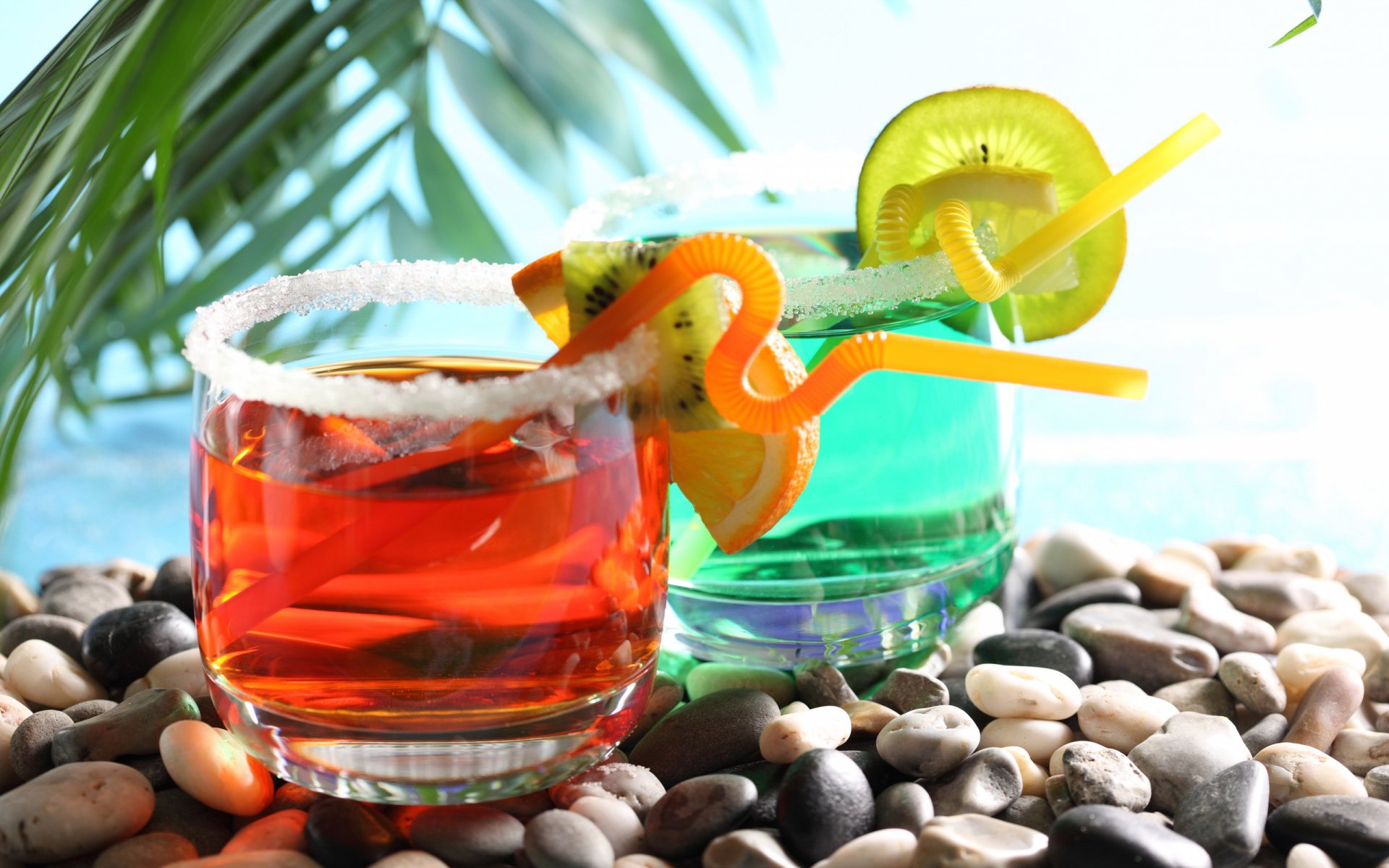 Tropical Cocktail Duo — 2K Quad HD Wallpaper | 2560x1600 | Wallpaper Abyss