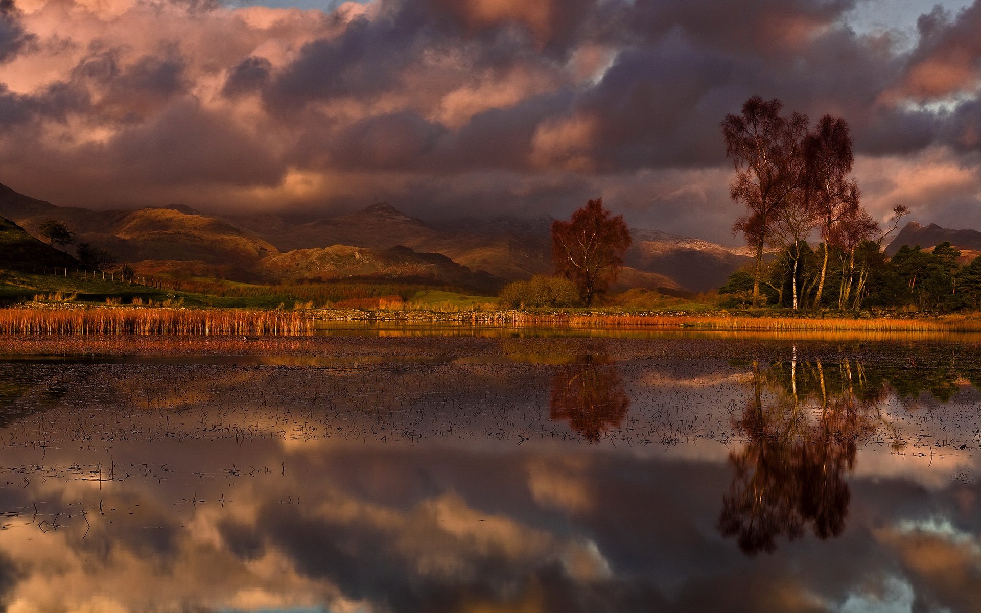 Download Nature Reflection HD Wallpaper | 1920x1200 | Wallpaper Abyss