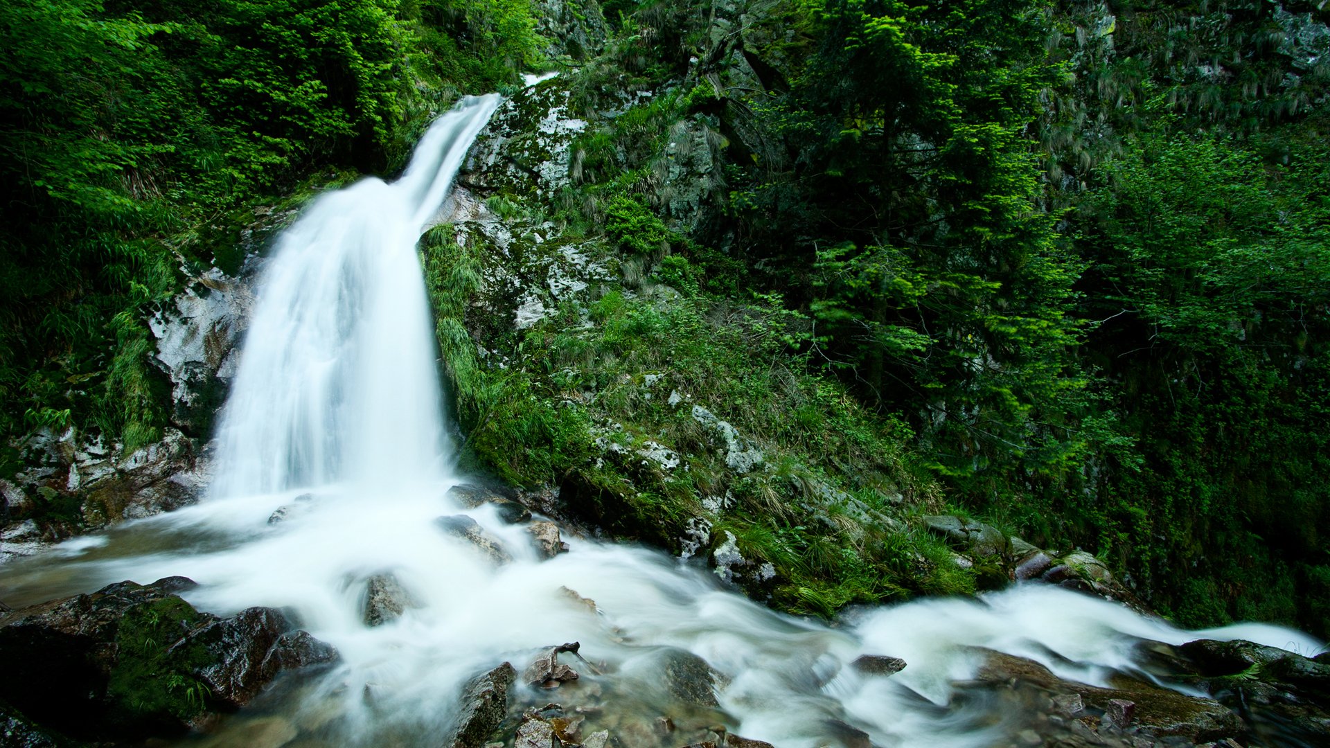Download Nature Waterfall HD Wallpaper | 1920x1080 | Wallpaper Abyss