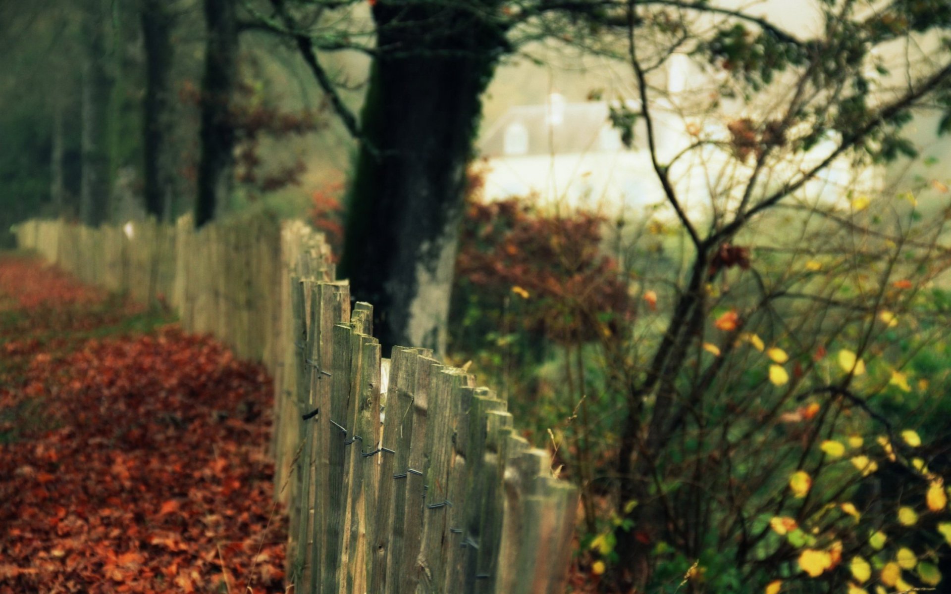 Download Man Made Fence HD Wallpaper