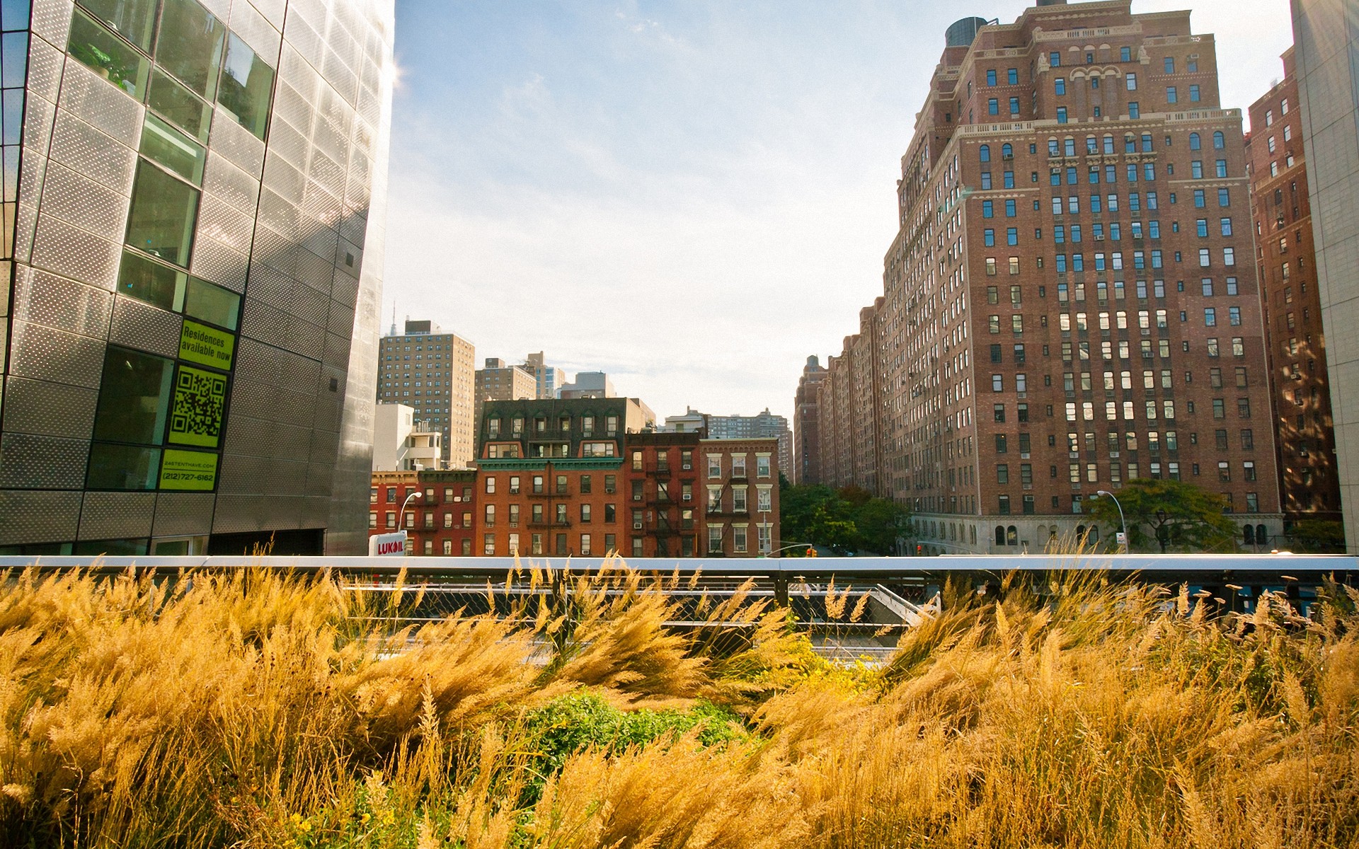 Download Manhattan Fall Man Made New York HD Wallpaper