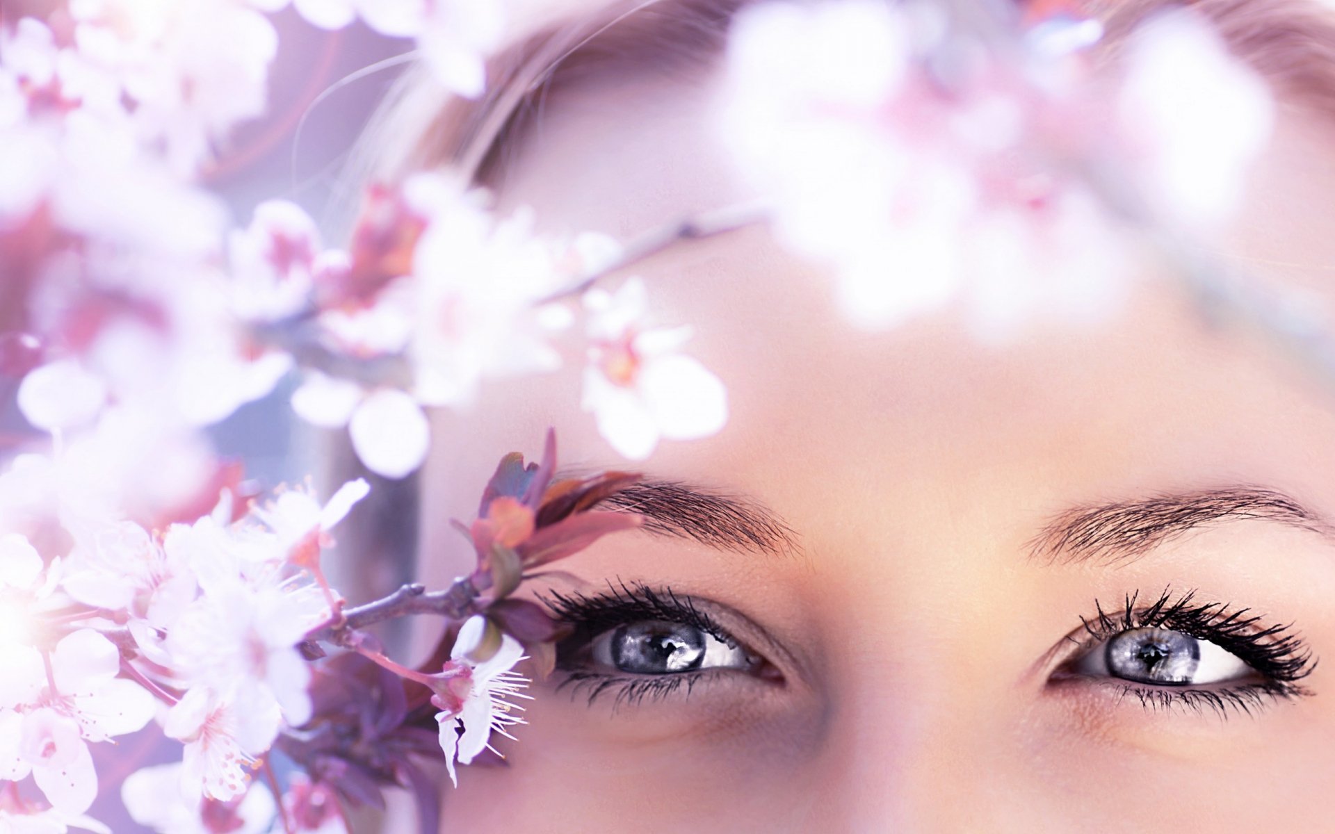Download Woman Eye HD Wallpaper
