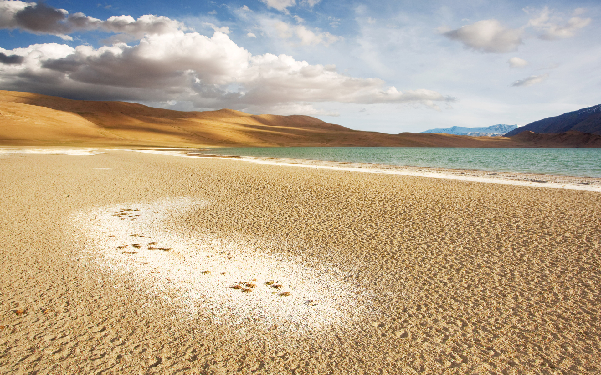 Nature Beach HD Wallpaper