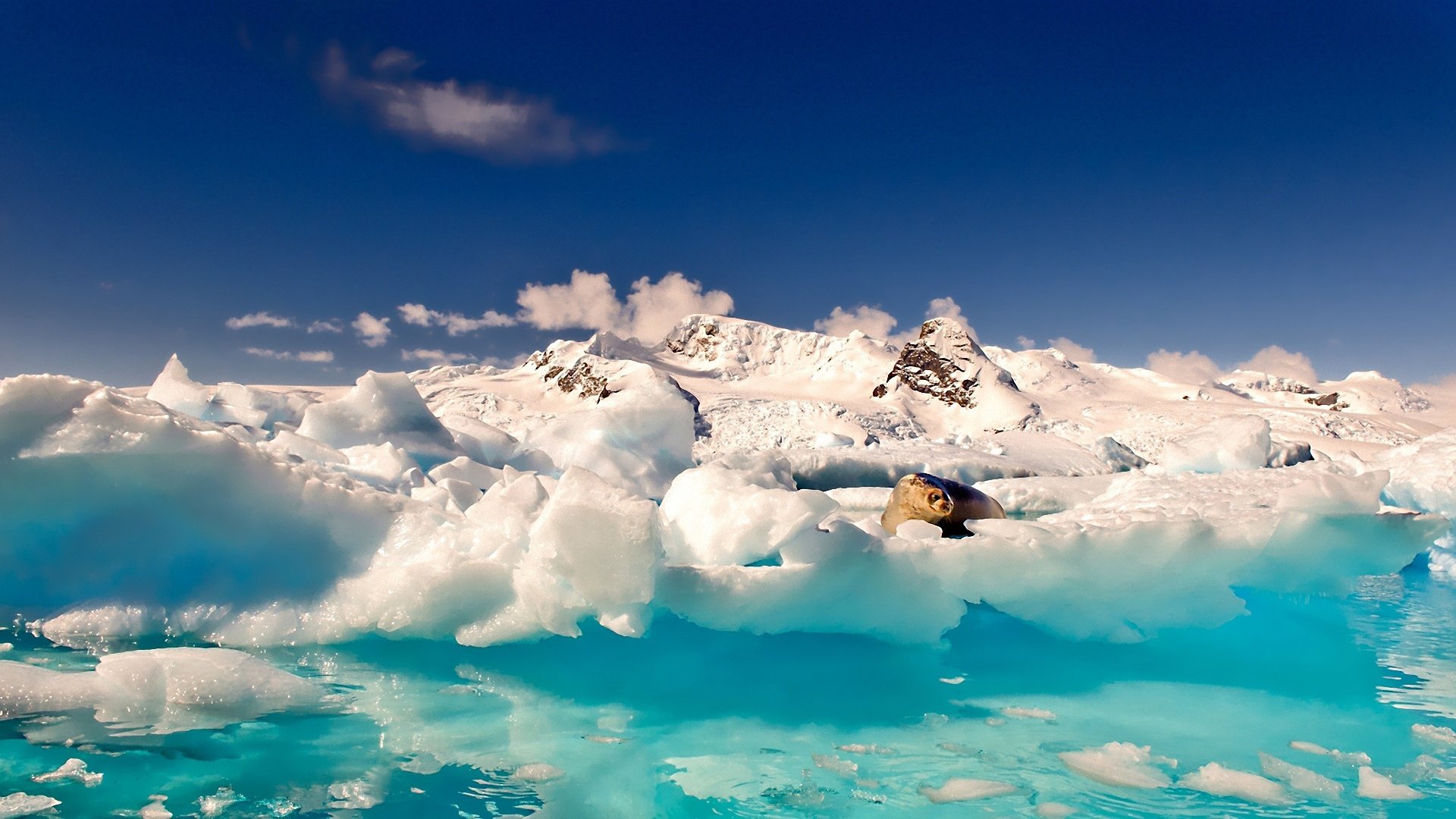 Download Nature Ice HD Wallpaper