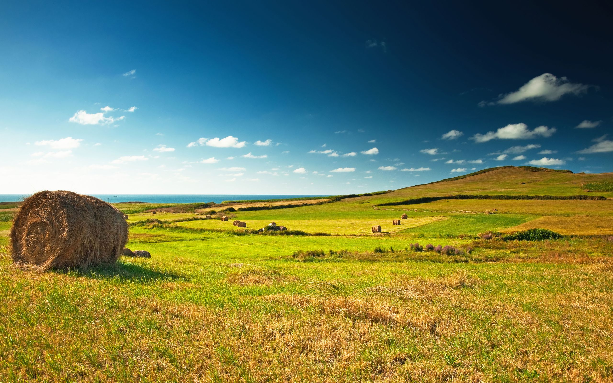 Nature Landscape HD Wallpaper