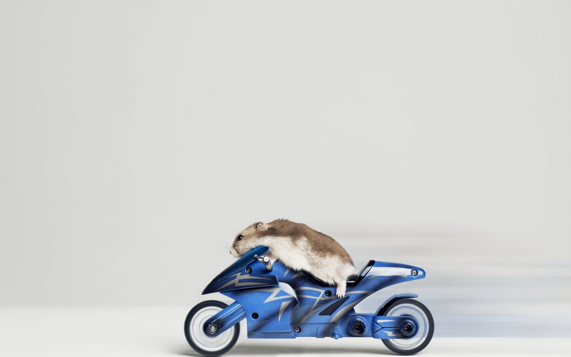 HD Free Download: Adorable Hamster on Blue Motorcycle Wallpaper