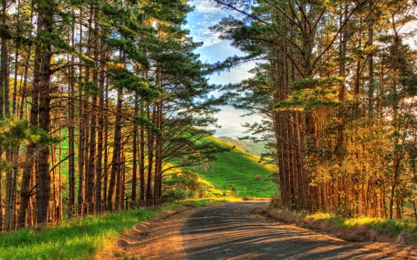 [640+] Road 4k Wallpapers