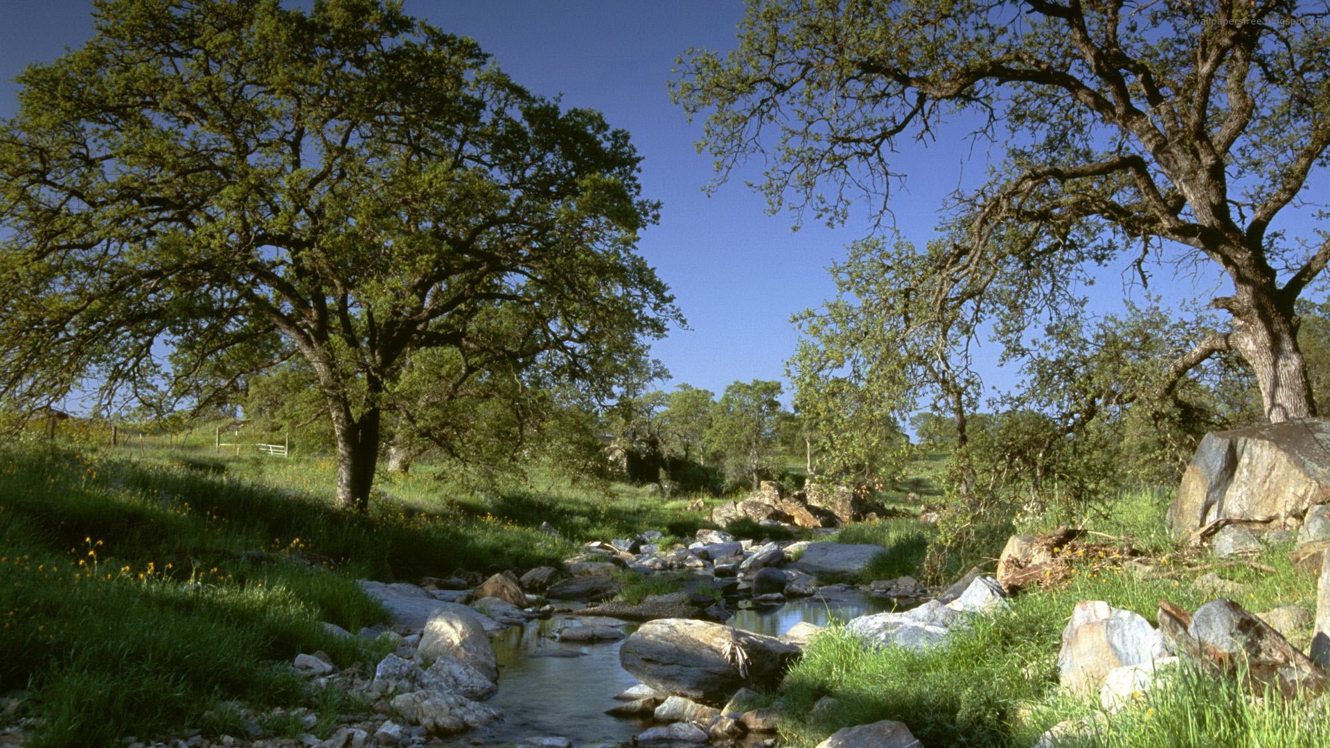 Download Nature River HD Wallpaper