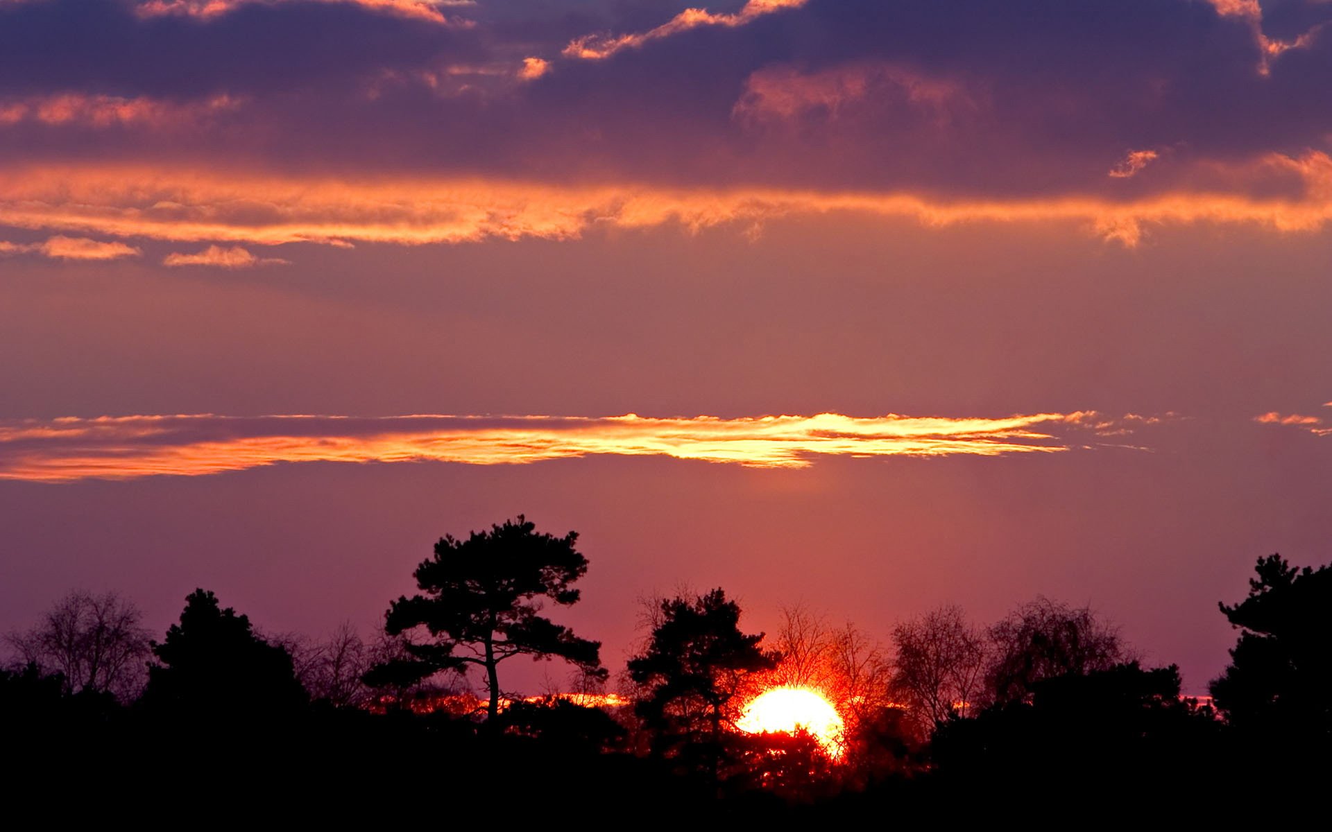 Download Nature Sunset HD Wallpaper