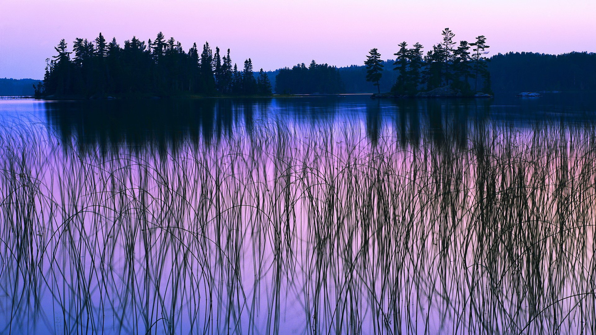 Download Nature Reflection HD Wallpaper