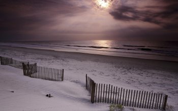 Download Horizon Fence Sand Earth Beach Night Nature PFP