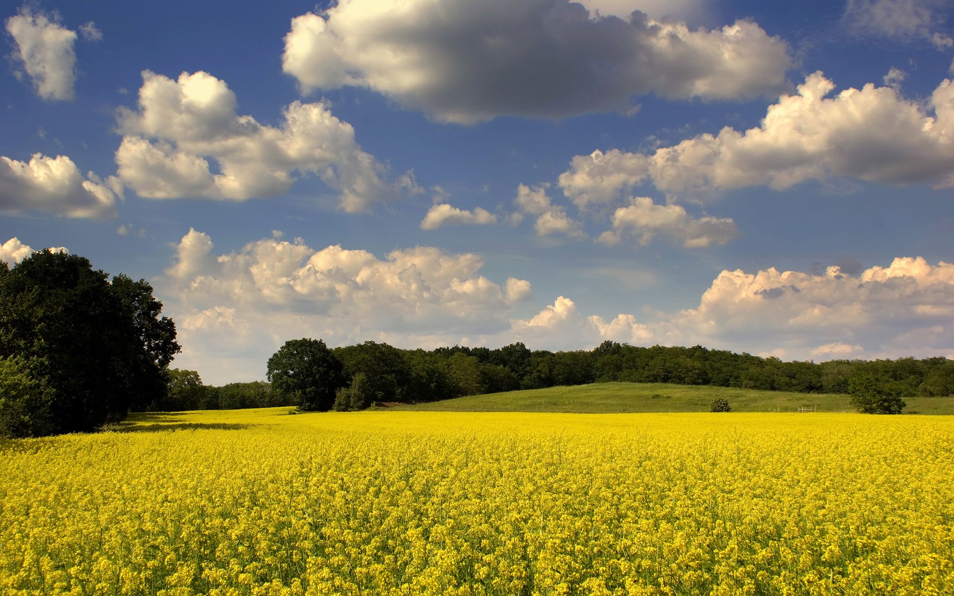 Download Nature Landscape HD Wallpaper | 1920x1200 | Wallpaper Abyss