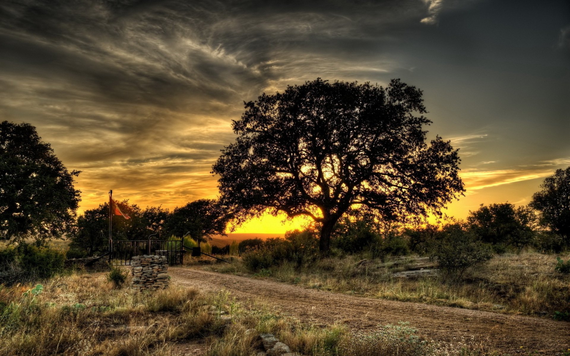 Serene Sunset: Nature's Majesty in an HD Wallpaper