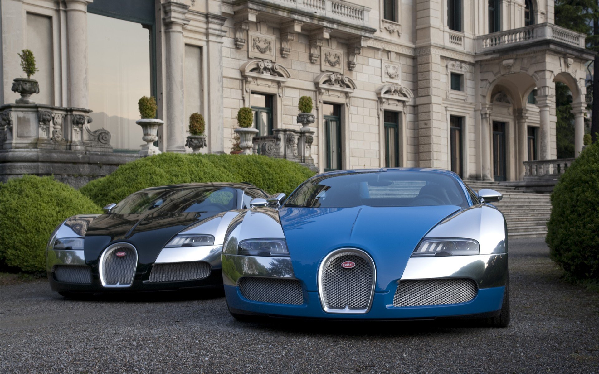 Vehicles Bugatti Veyron HD Wallpaper