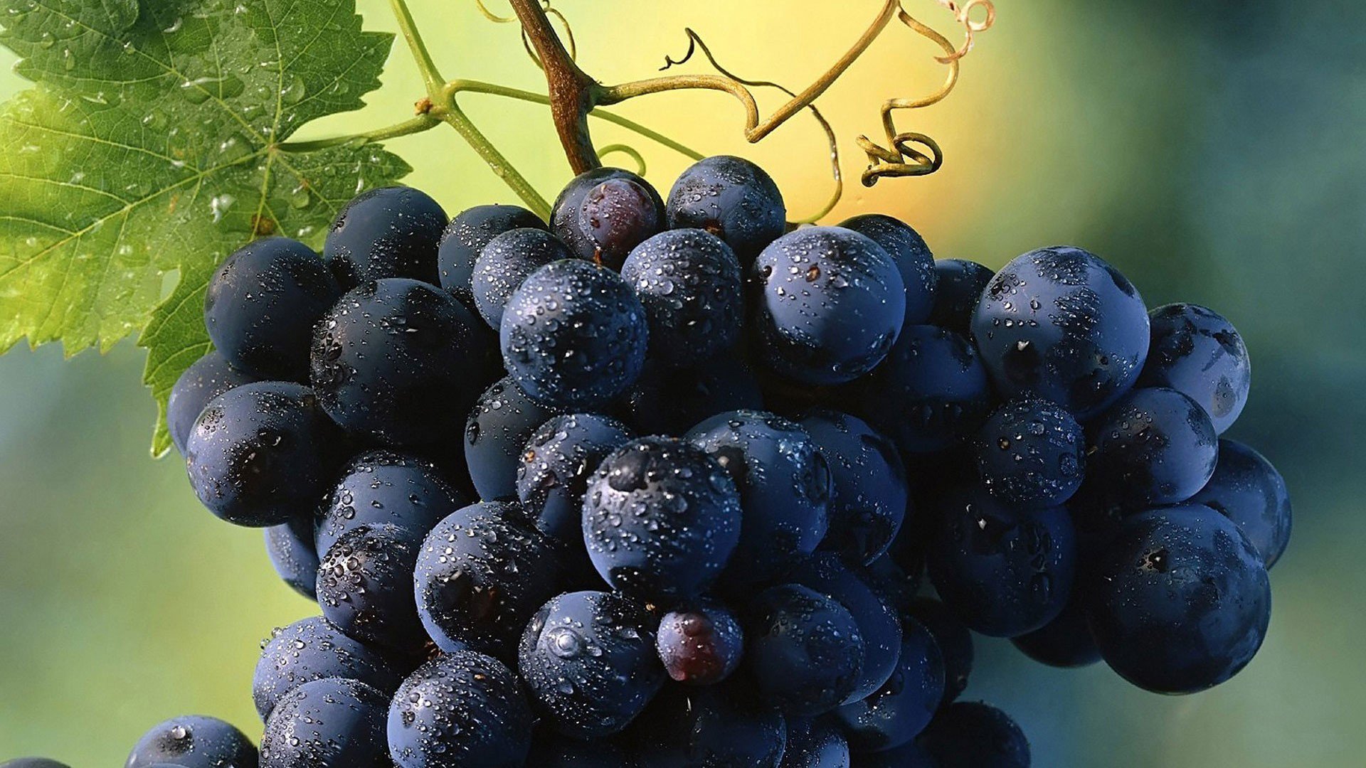 HD Delight: Fresh Juicy Grapes Close-Up