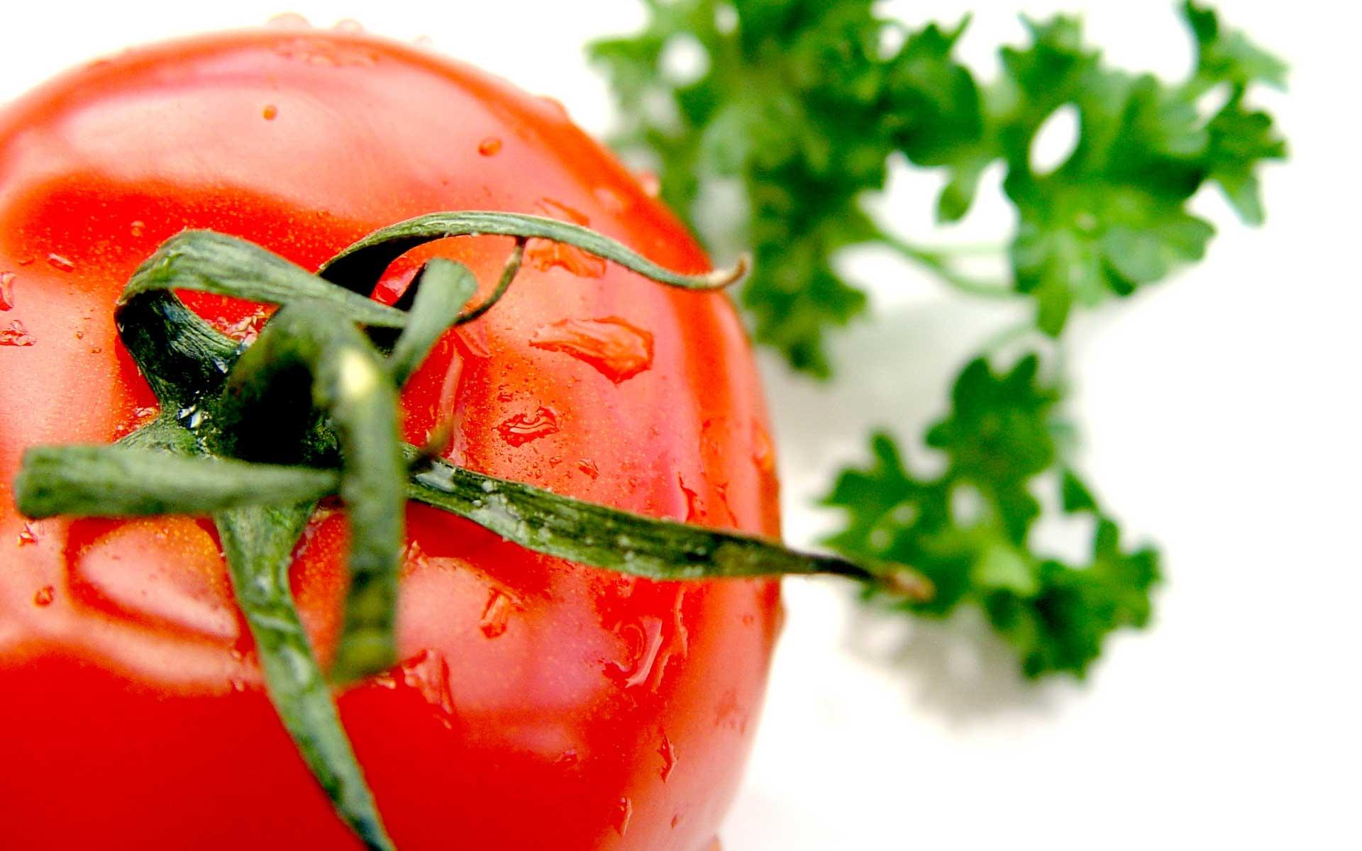 Tomato HD Wallpaper | Background Image | 1920x1200