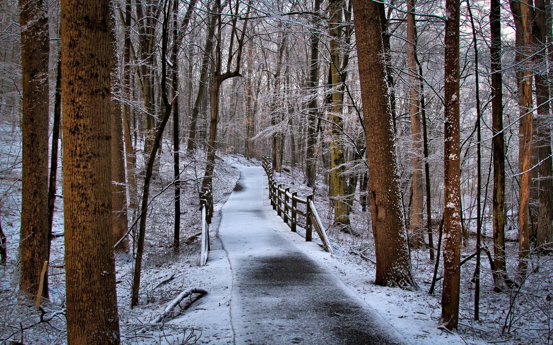 Download Nature Path HD Wallpaper | 1920x1200 | Wallpaper Abyss