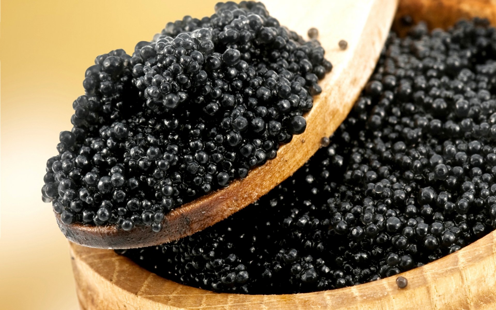 Download Food Caviar HD Wallpaper