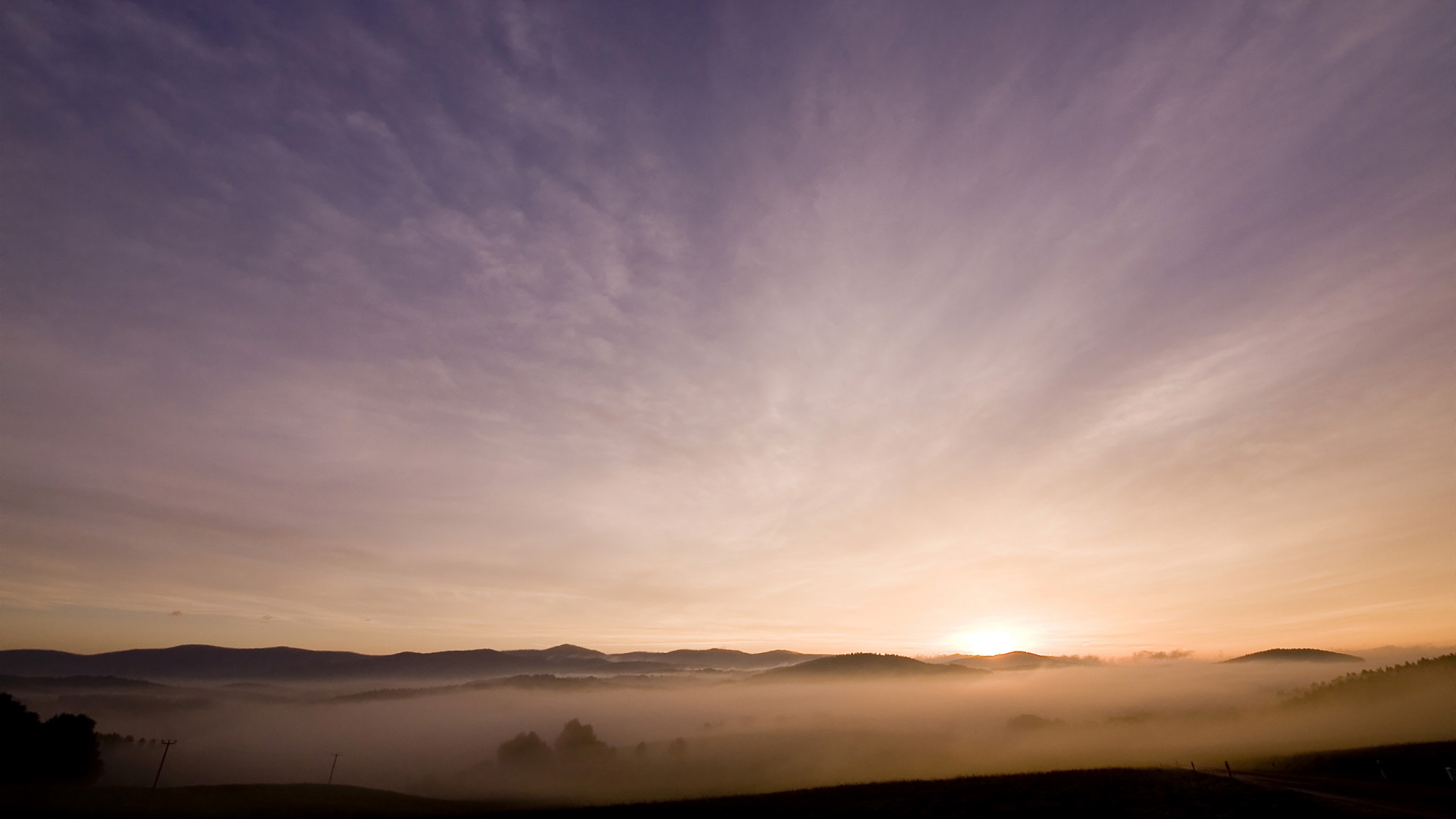 Download Nature Fog HD Wallpaper