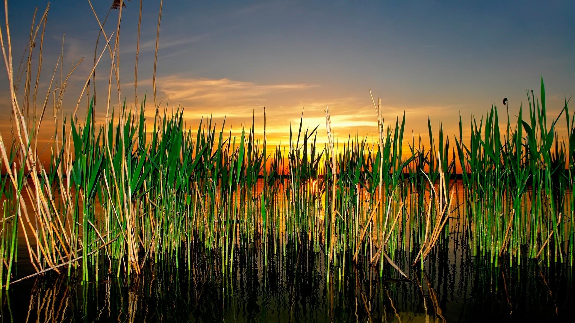 Nature Landscape HD Wallpaper