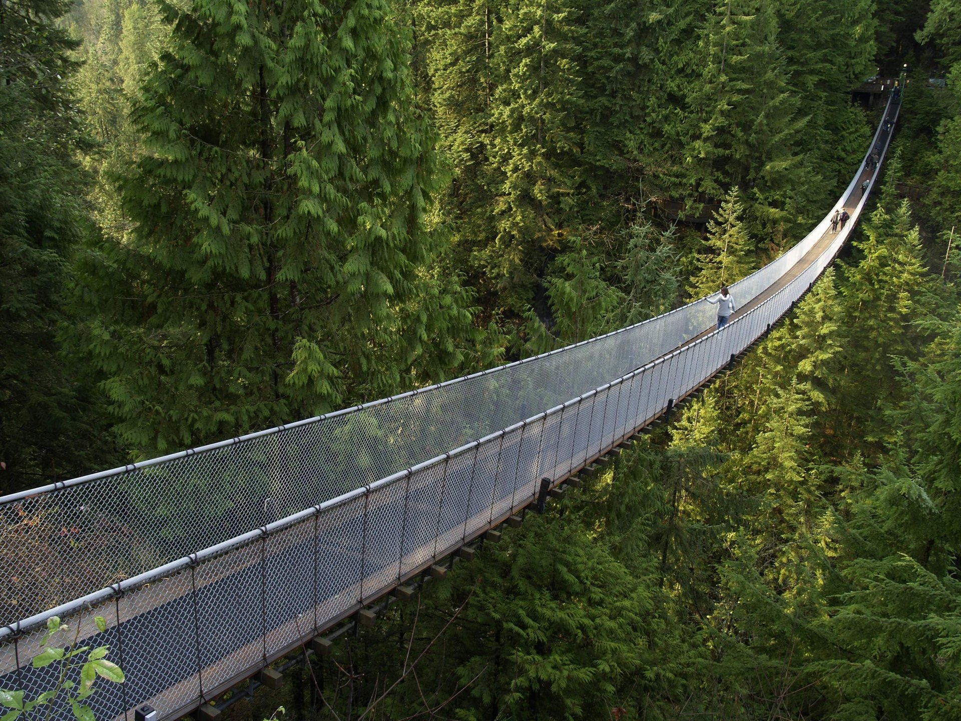 Download Man Made Capilano Suspension Bridge HD Wallpaper