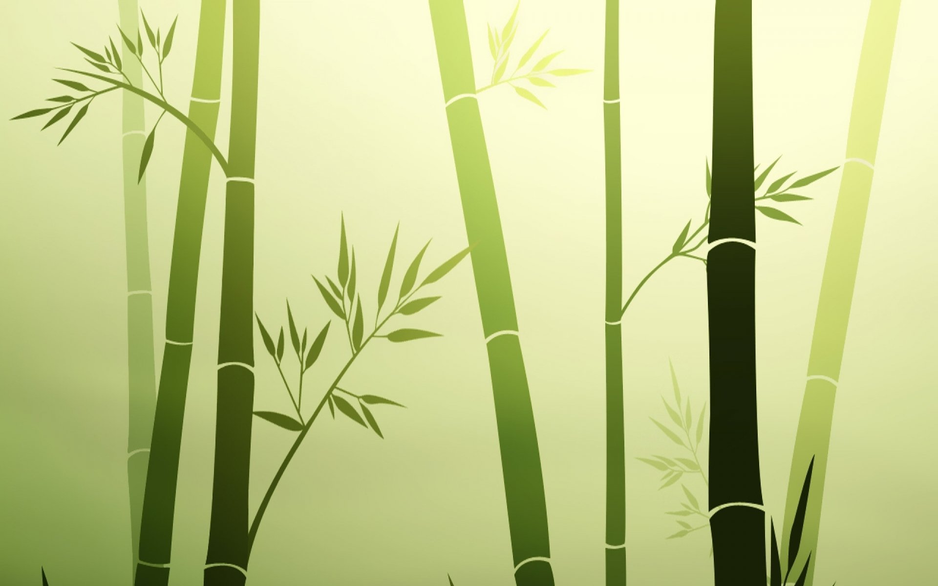 Serene Bamboo Art: HD Nature Wallpaper Bliss | 2560x1600 | Wallpaper Abyss