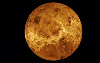 Download Nature Moon PFP