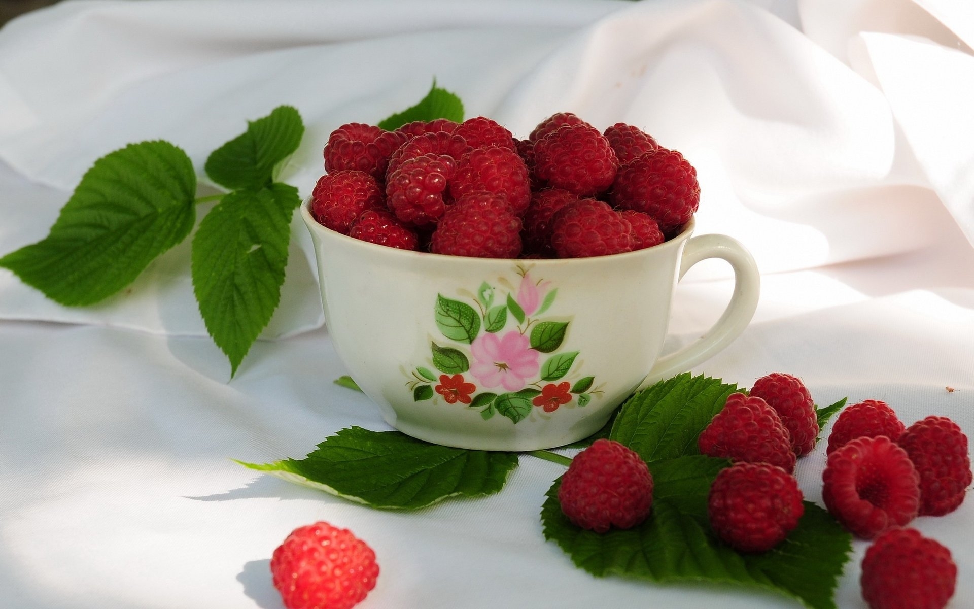 Food Raspberry HD Wallpaper