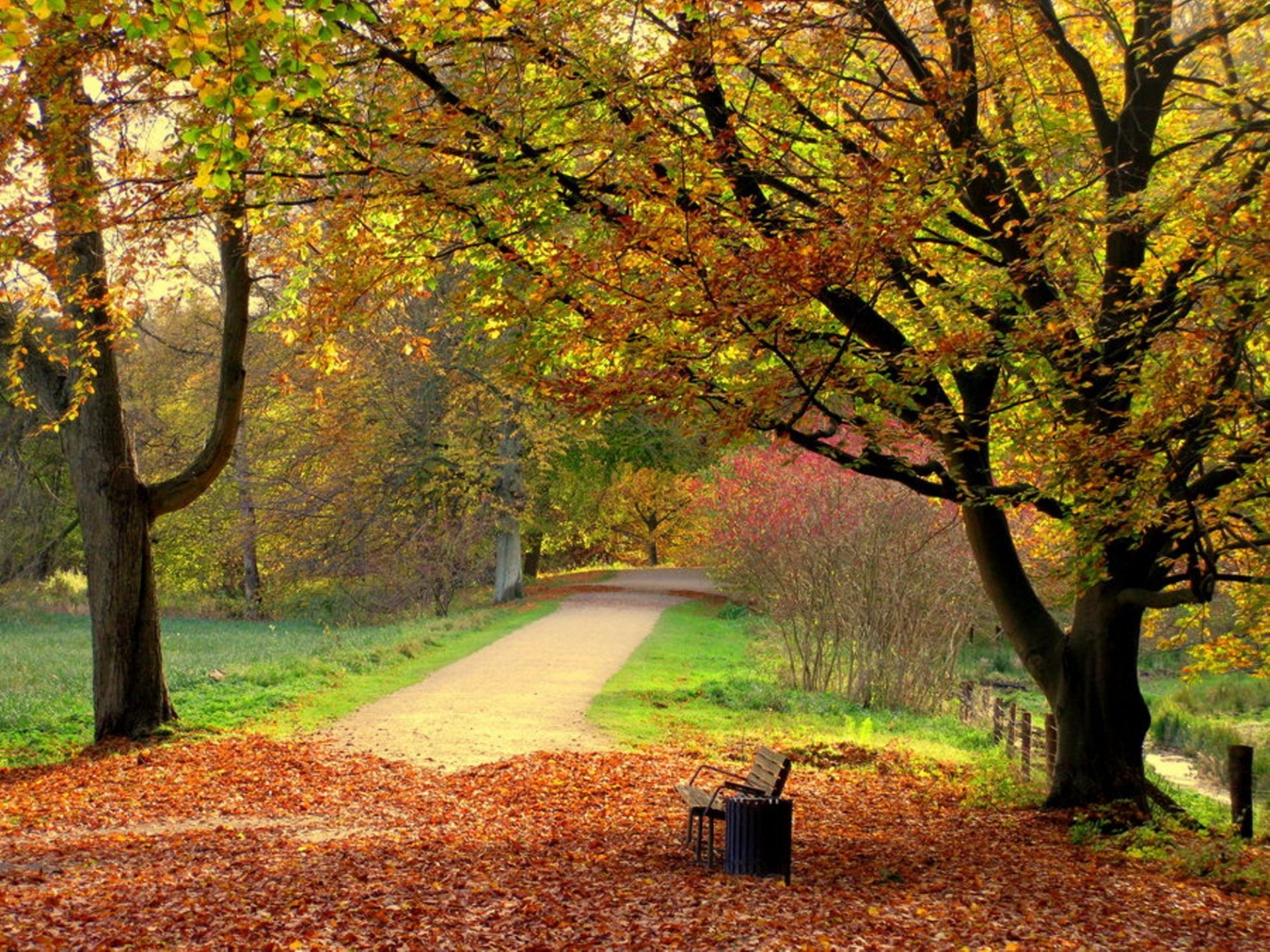 Serene Autumn Pathway – HD Park Photography Wallpaper