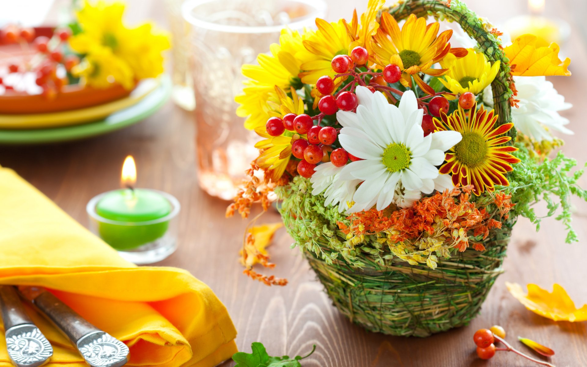 Vibrant Still Life: HD Floral Elegance Photography