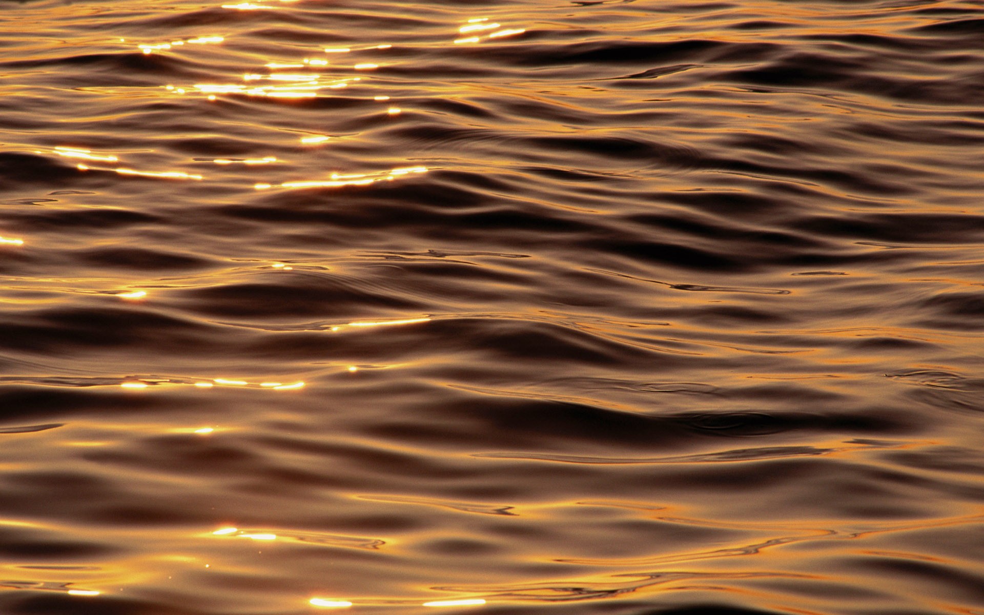 Golden Waves: A Stunning HD Nature Waterscape