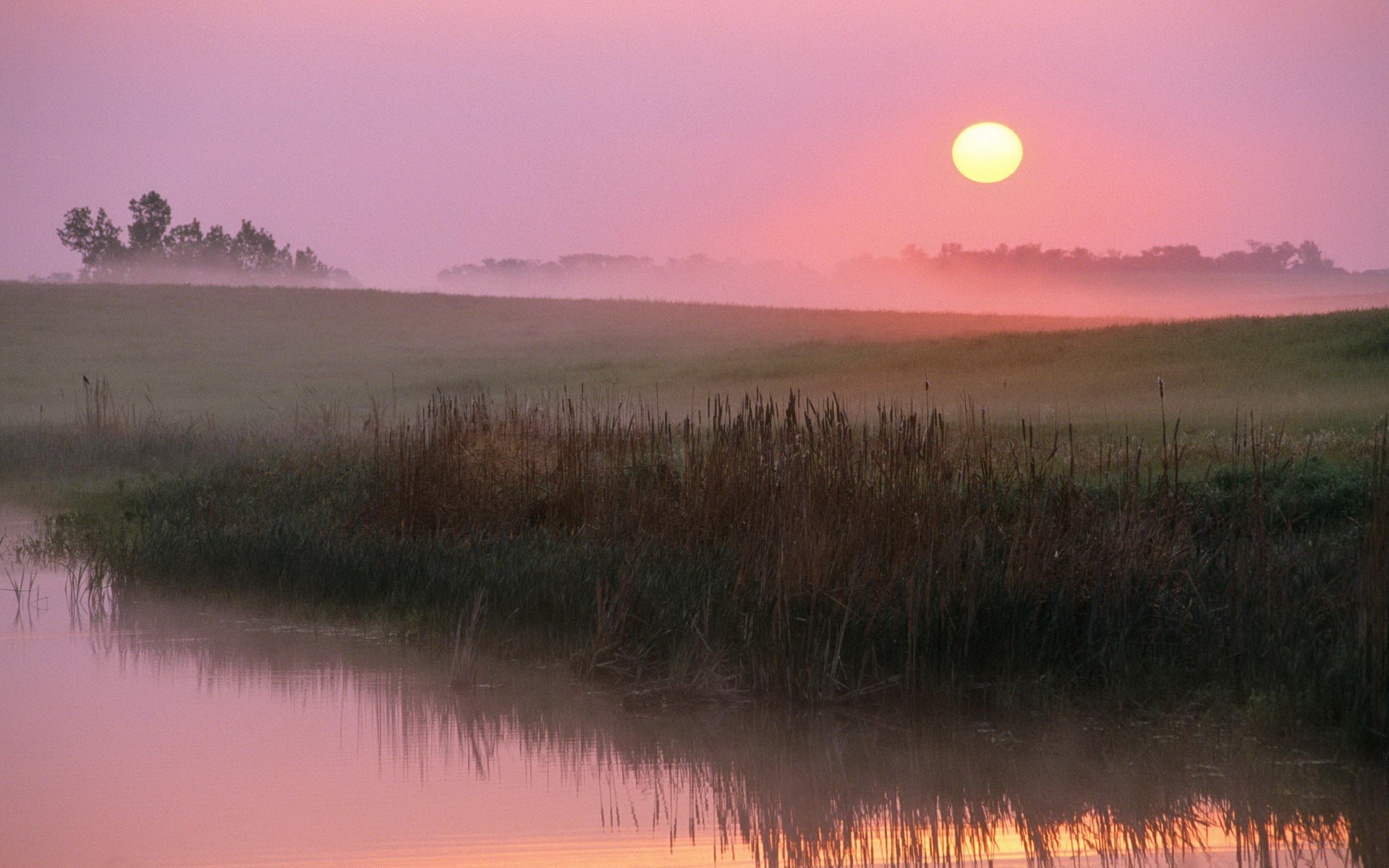 Download Nature Sunrise HD Wallpaper