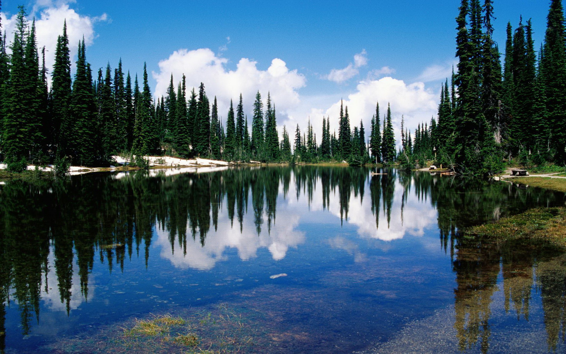 Serene Nature Reflection HD Wallpaper