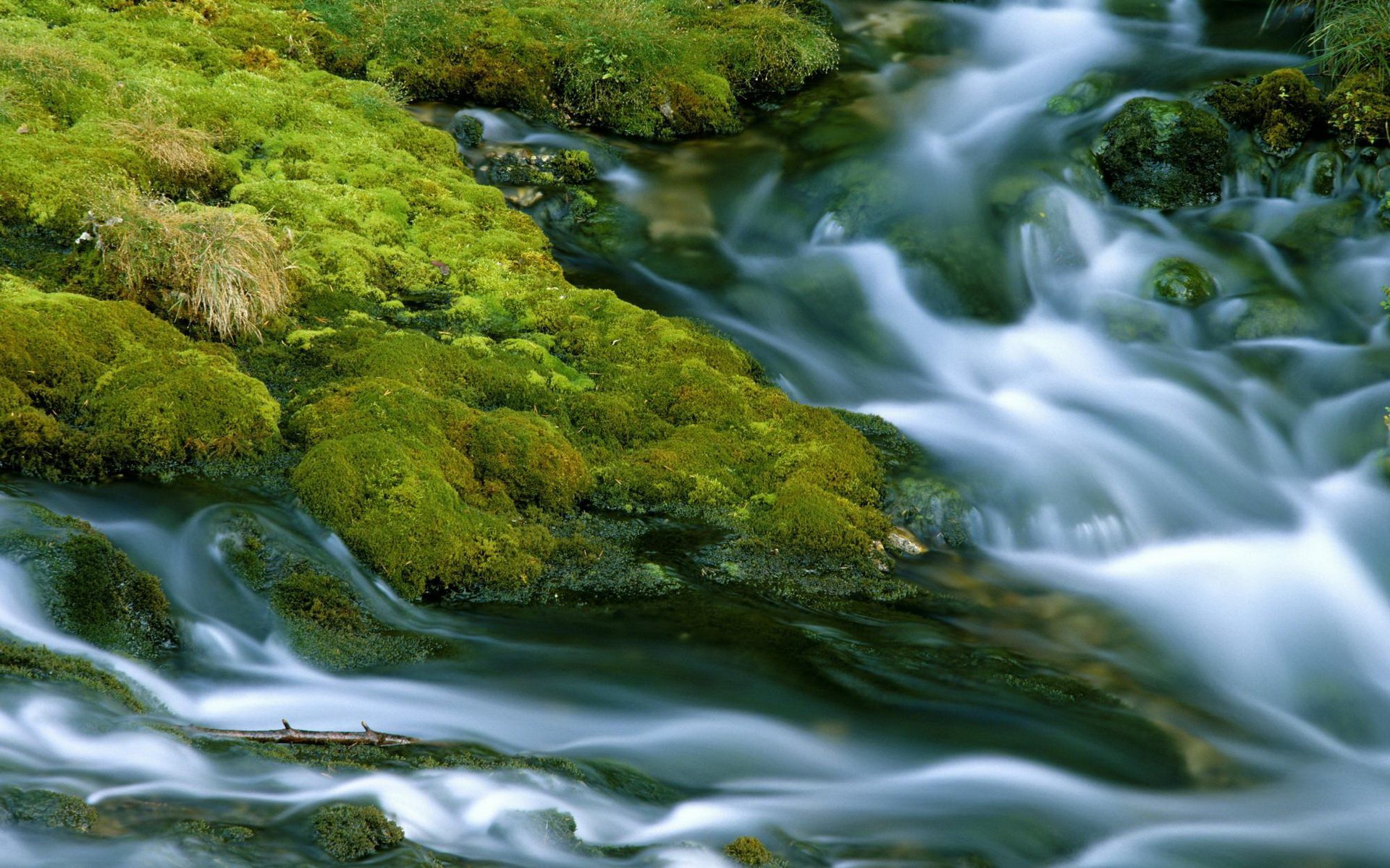 Download Nature River HD Wallpaper