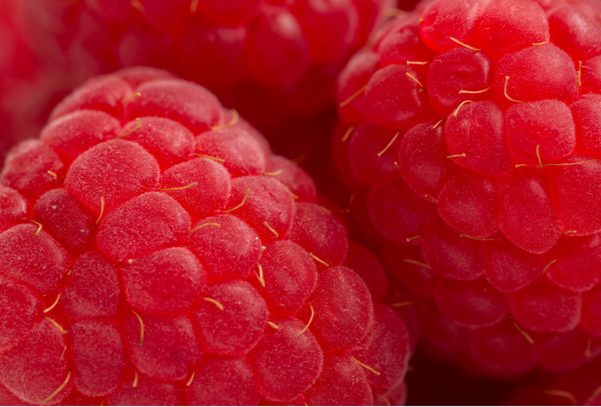 HD Raspberry Delight: Juicy Freshness in Every Bite