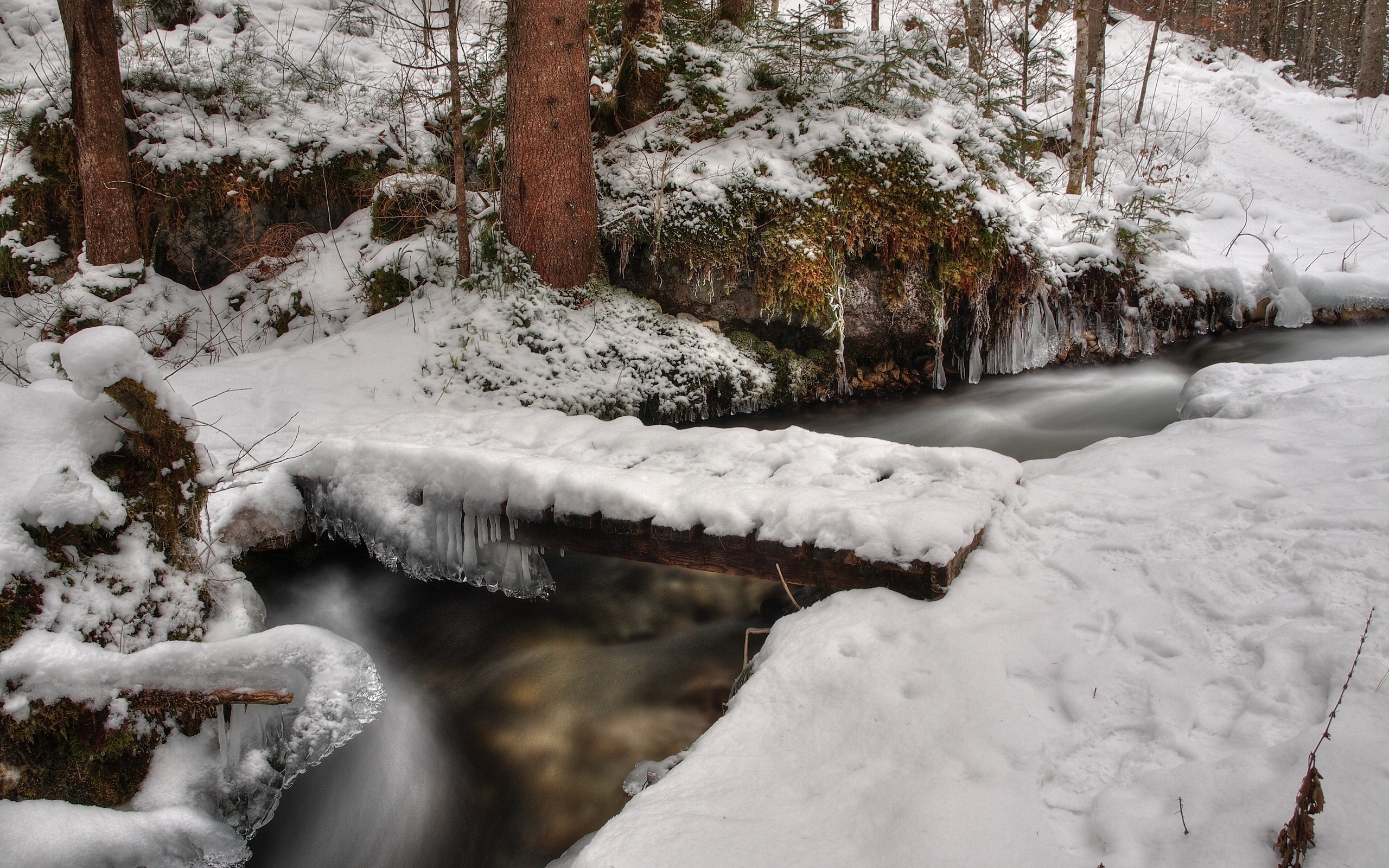 Serene Winter Stream: HD Nature Photography Wallpaper
