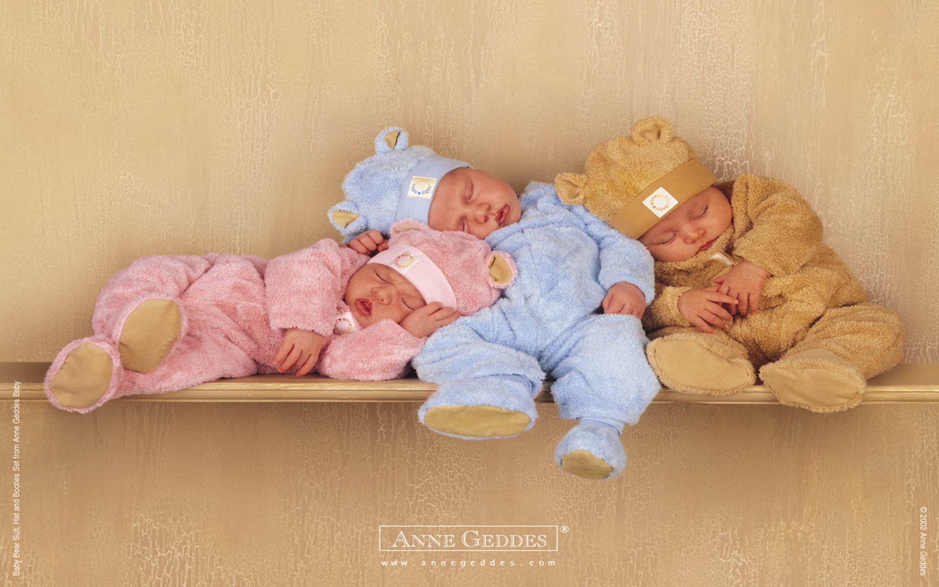 Anne Geddes Wallpaper Photos Amazon.com: Art Poster Anne Geddes Baby