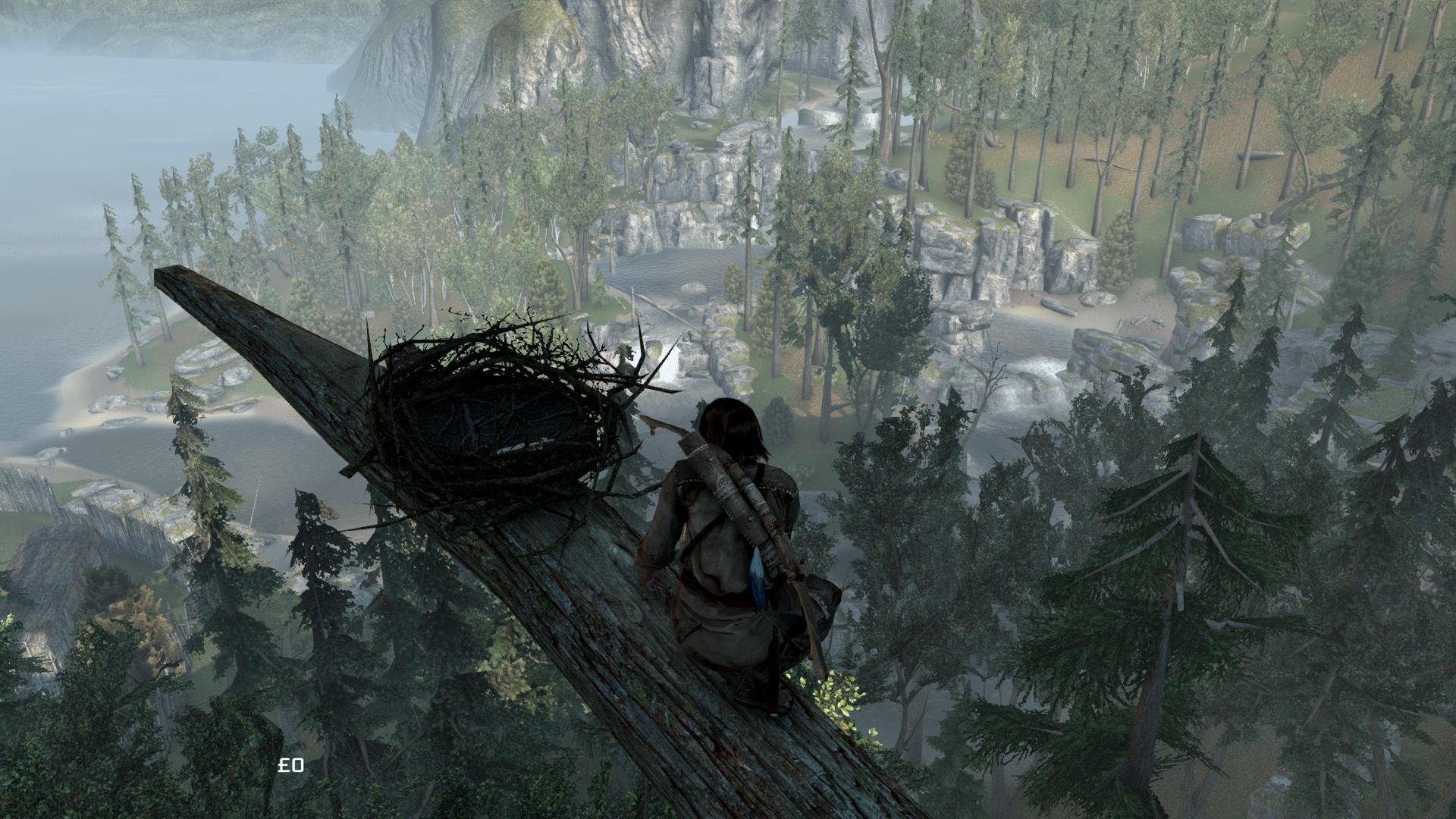 Assassin’s Creed III HD Wallpaper: Wilderness Vigil Overlook