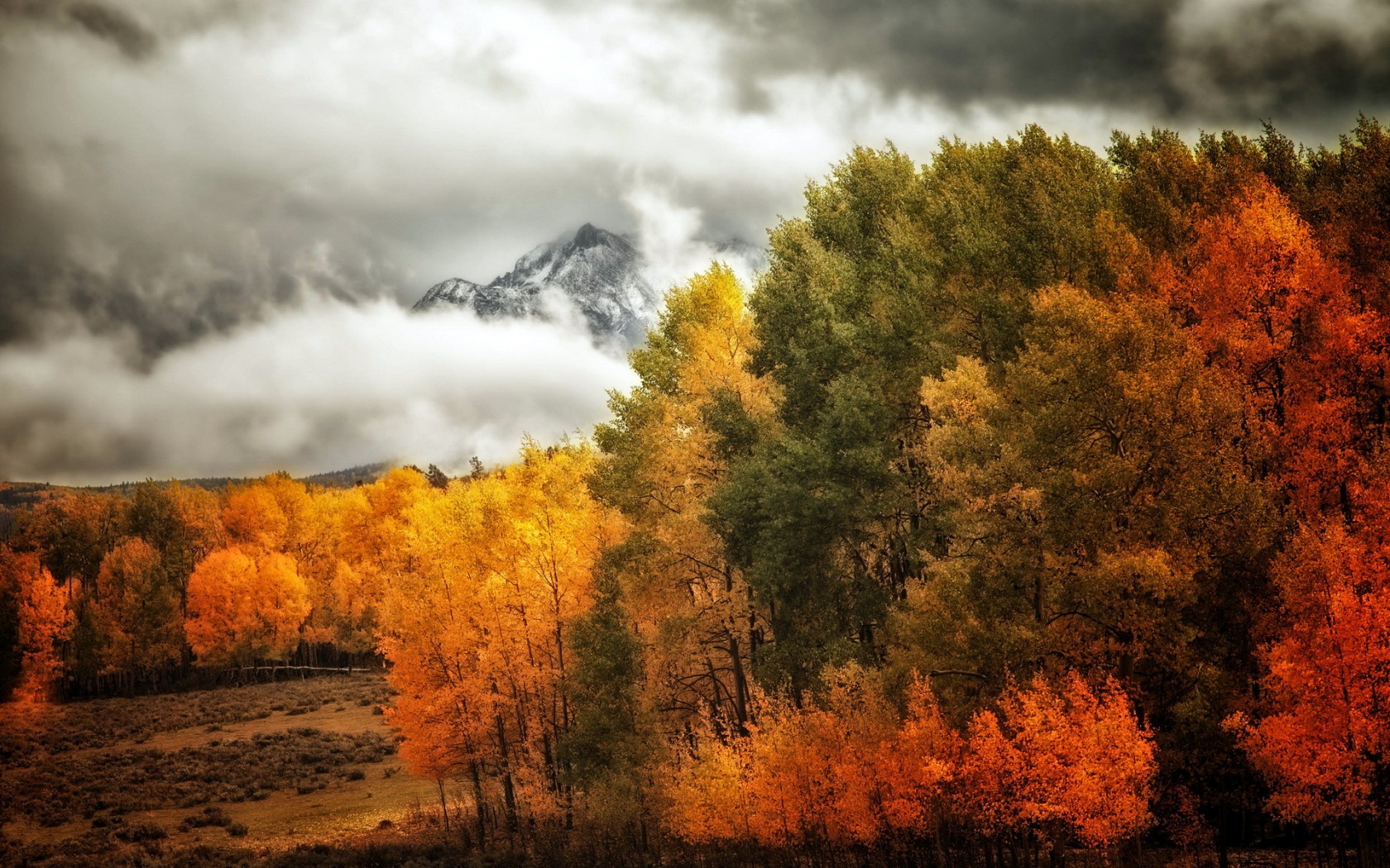 HD Fall Serenity: Vibrant Nature's Autumn Majesty