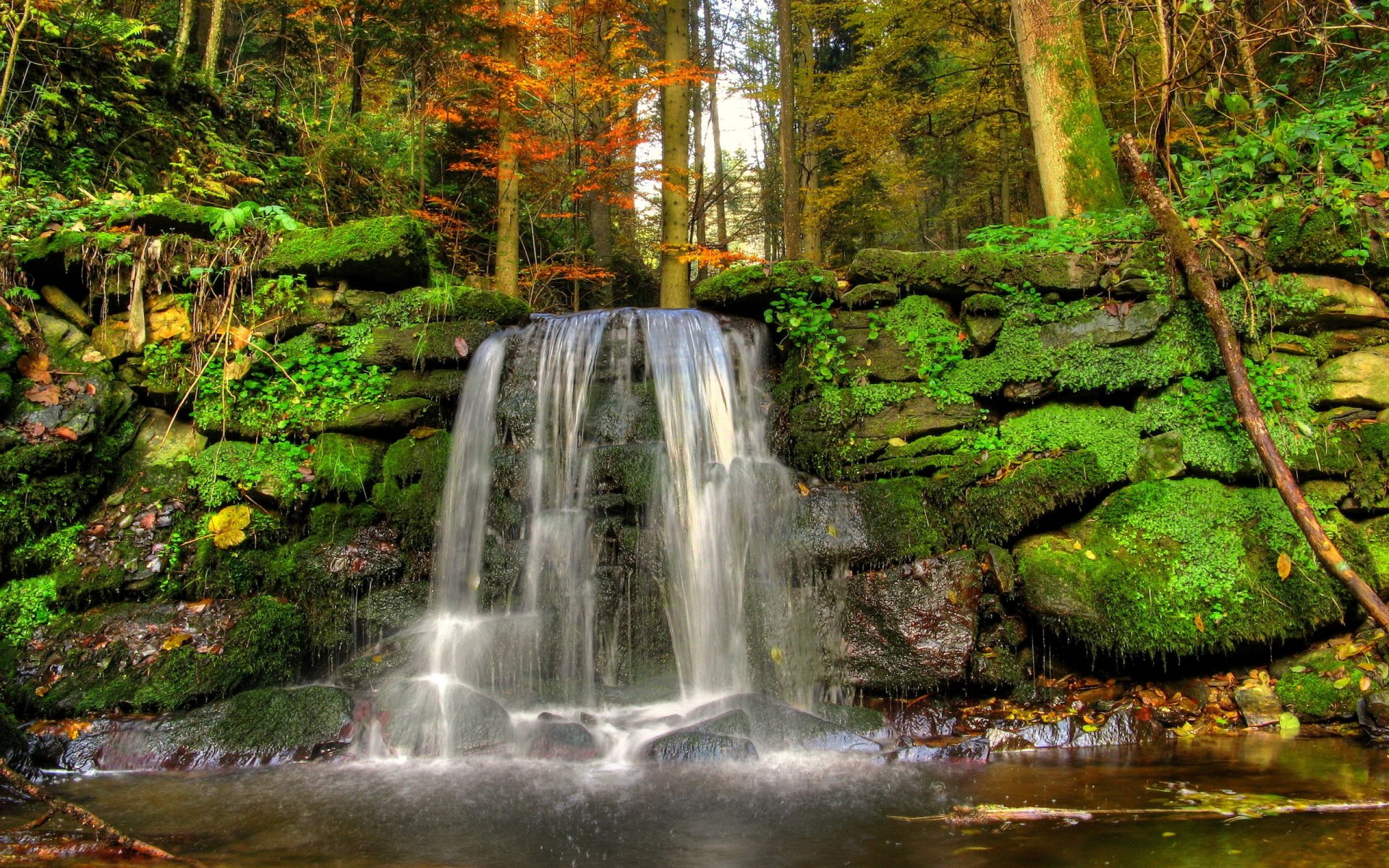 Cascada Fondo de pantalla HD | Fondo de Escritorio | 2560x1600