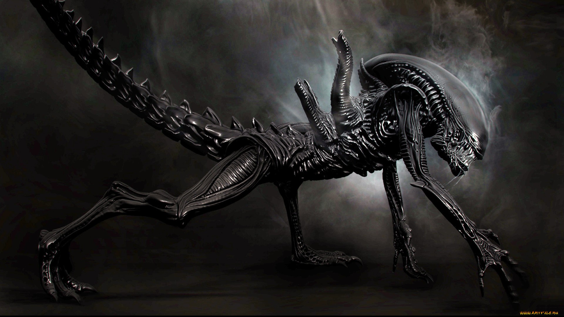 HD Sci Fi Alien Predator Wallpaper