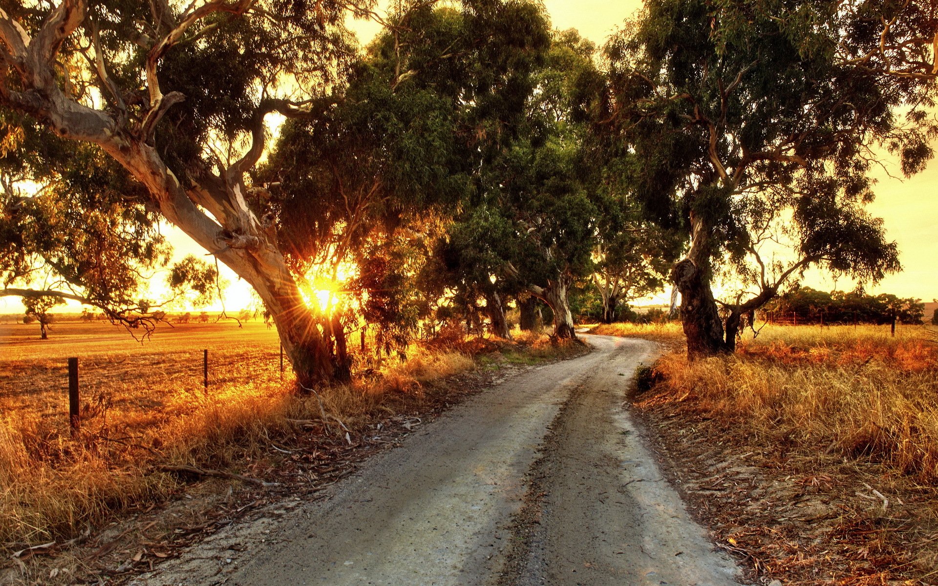 Download Man Made Road HD Wallpaper | 1920x1200 | Wallpaper Abyss