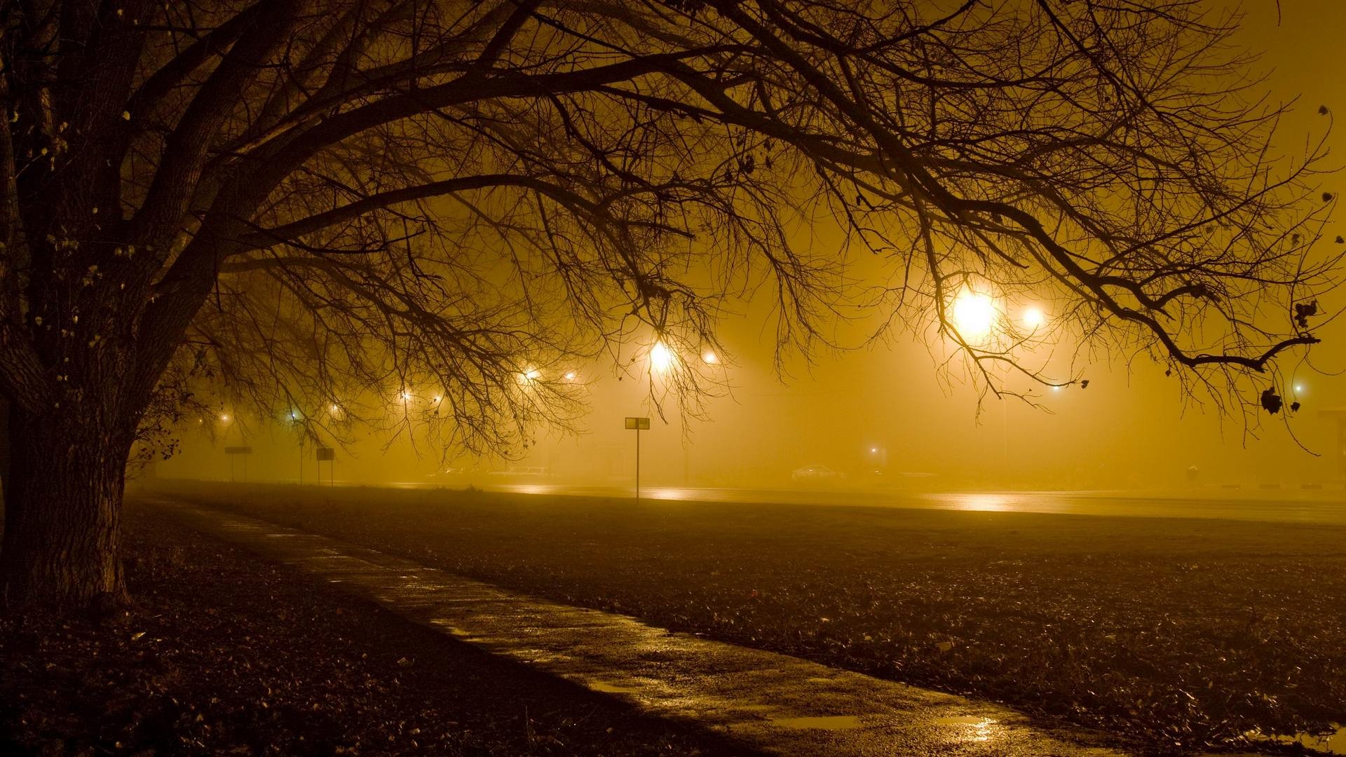 Radiant Nightscape: A Stunning HD Light Photography Wallpaper