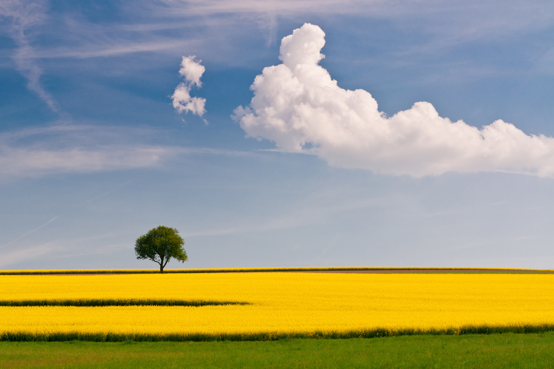 Download Nature Landscape HD Wallpaper