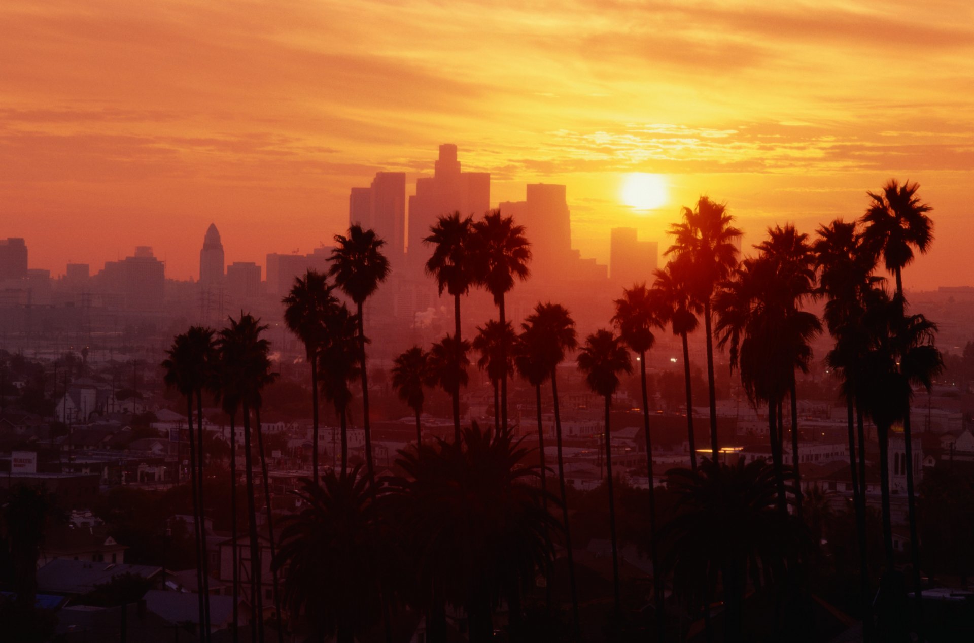 Sunset Over Palms — 4K Ultra HD Photography Wallpaper | 3884x2564 ...